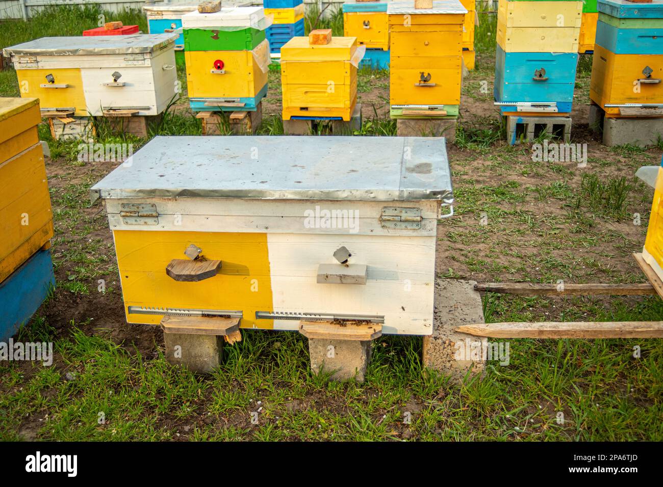 View from front of hives on apiary in spring. An empty stand under hive ...