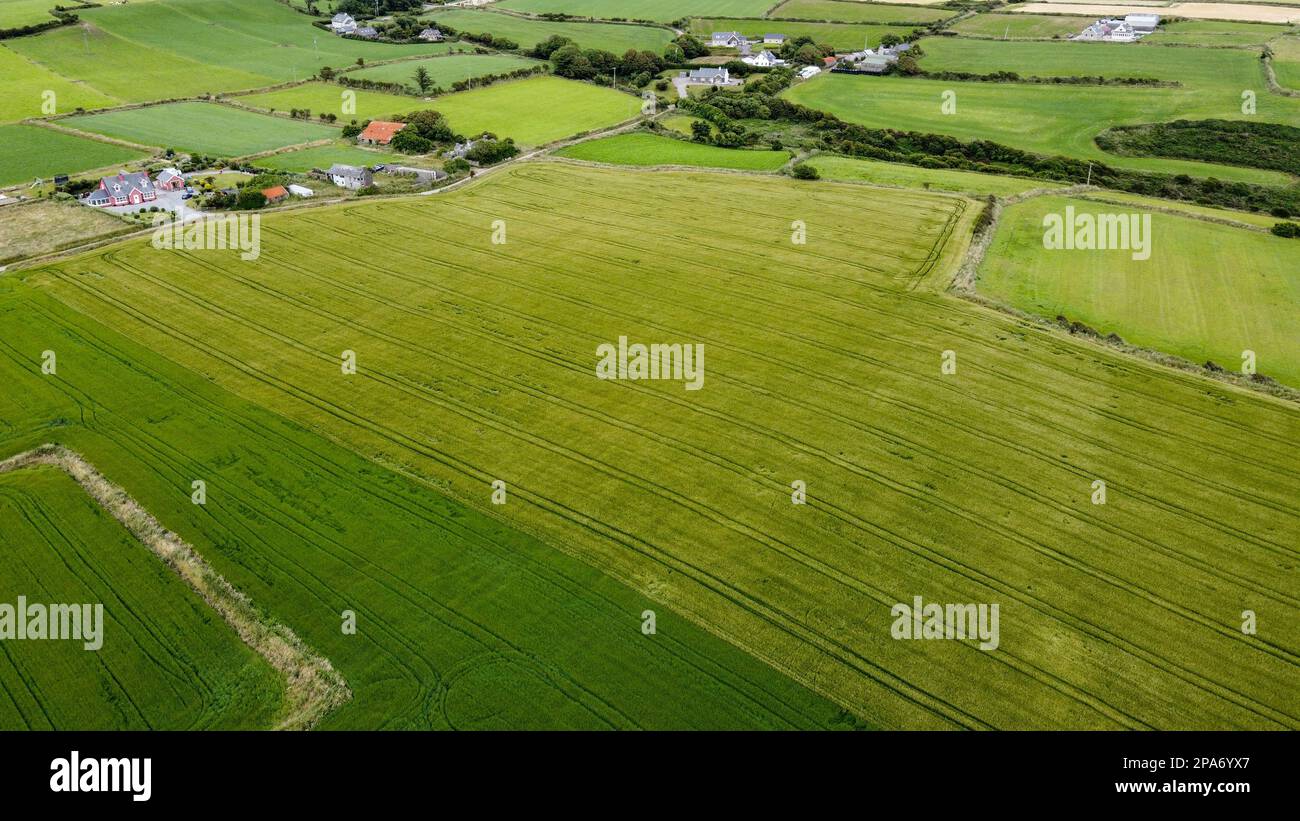 Green fields of ireland hi-res stock photography and images - Alamy