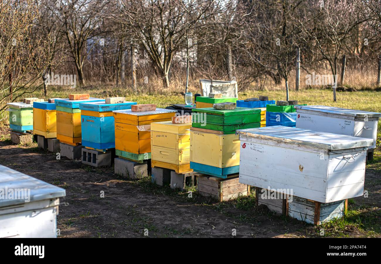 Sideboards near beehive's entrance., to help fallen bees get into hive ...
