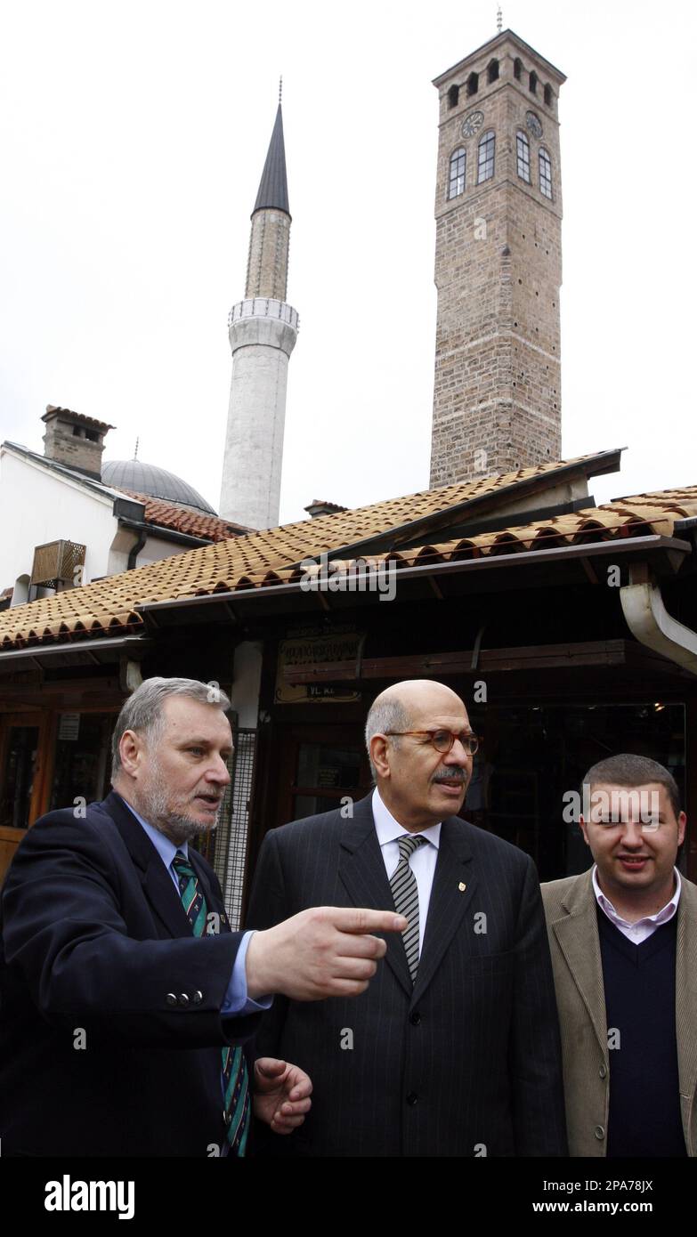 Director General of the International Atomic Energy Agency, IAEA ...