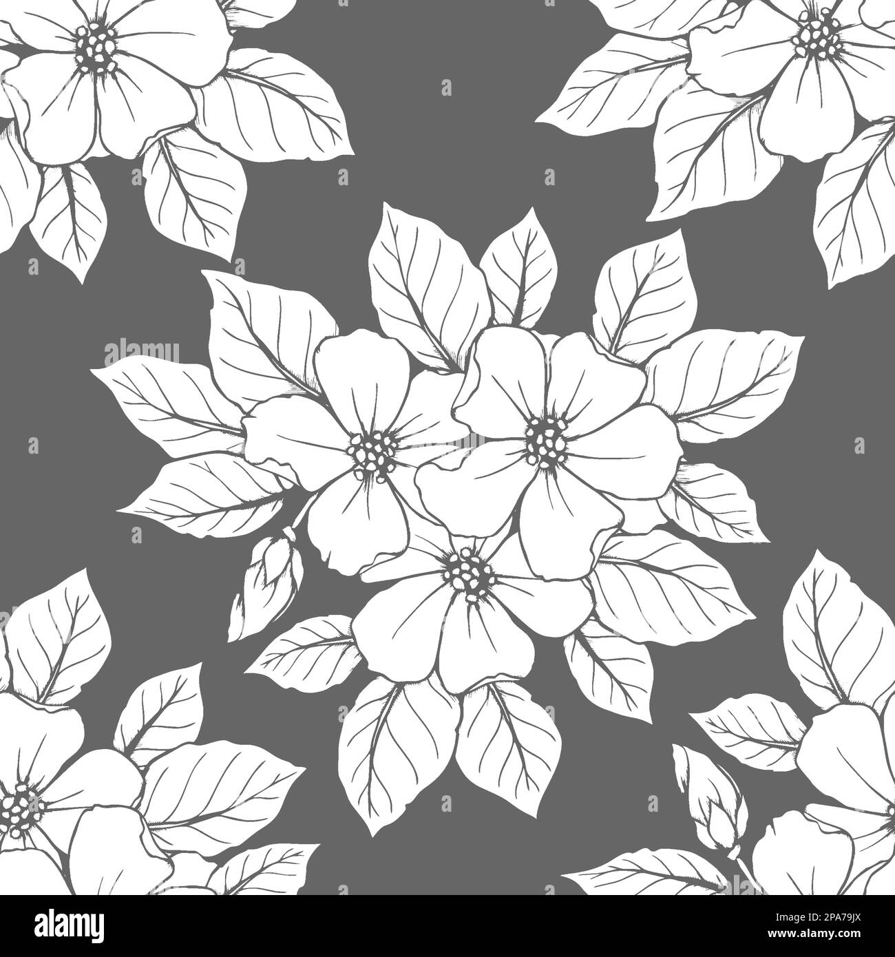 seamless contour pattern of large white flowers on a gray background ...