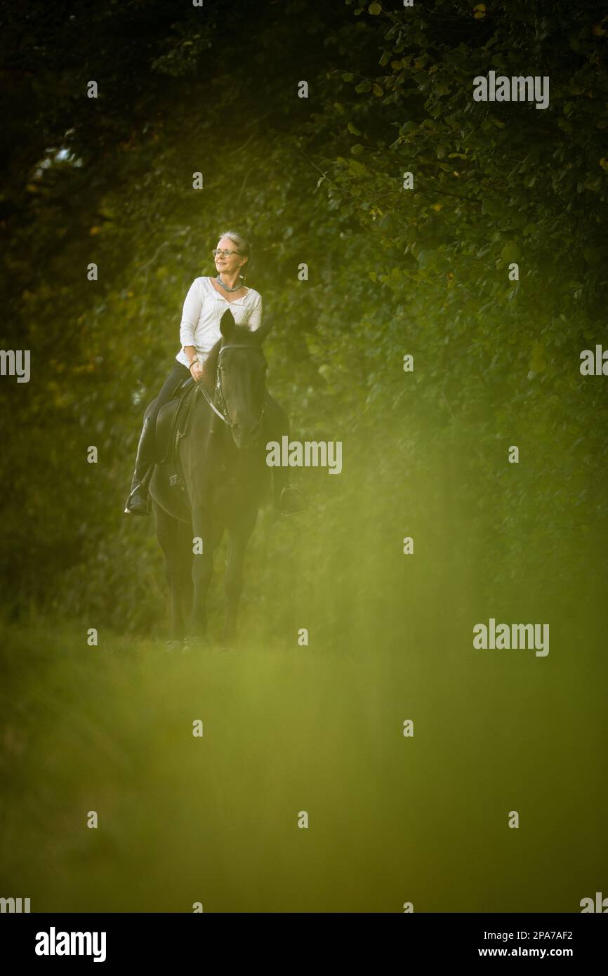 Woman riding a horse. Equestrian sport, leisure horse riding concept ...