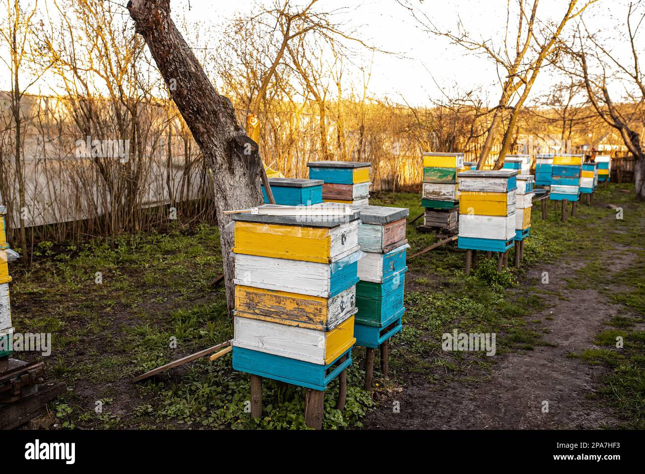 Beekeepers works bees in apiary hi-res stock photography and images - Alamy