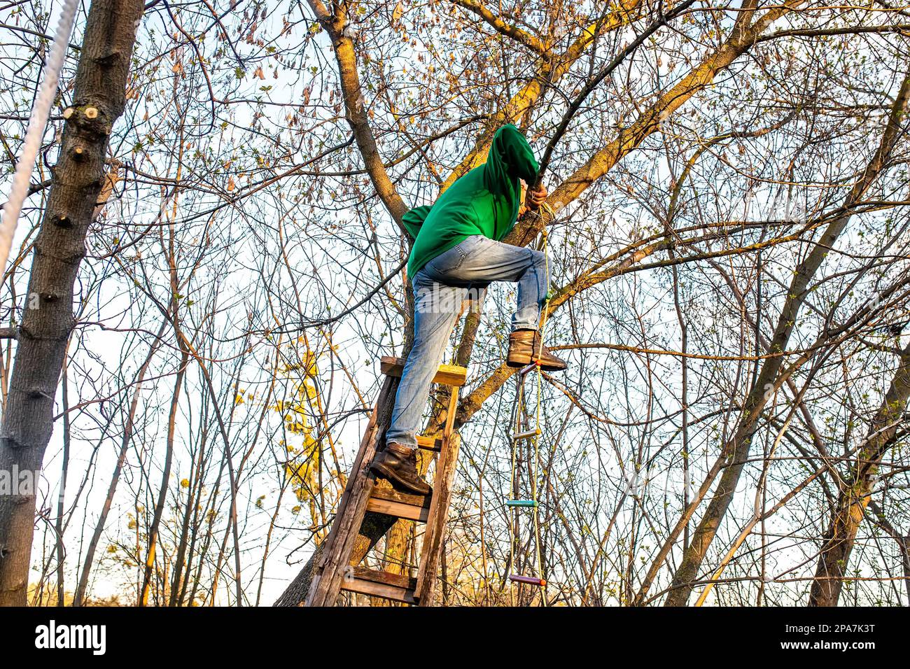 The man climbed a tree. Construction of a playground near the house ...