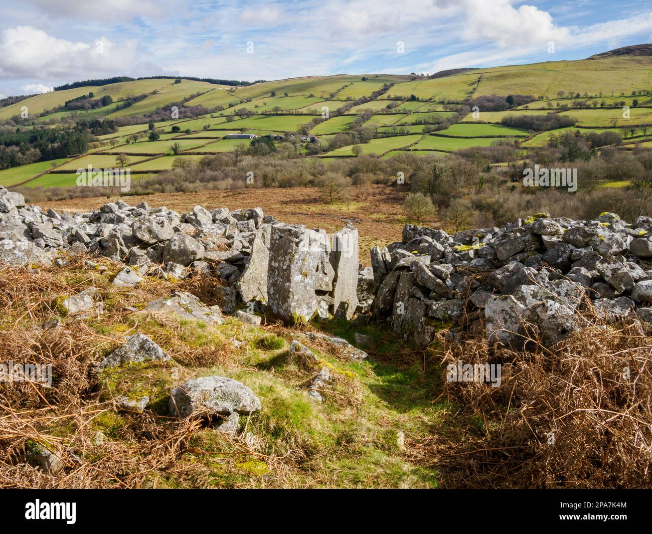 Gate in the walls of Carn or Garn Goch or Red Hill a walled Iron Age ...
