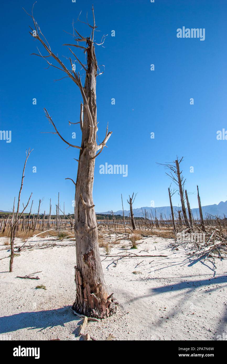 Dried up dam hi-res stock photography and images - Alamy