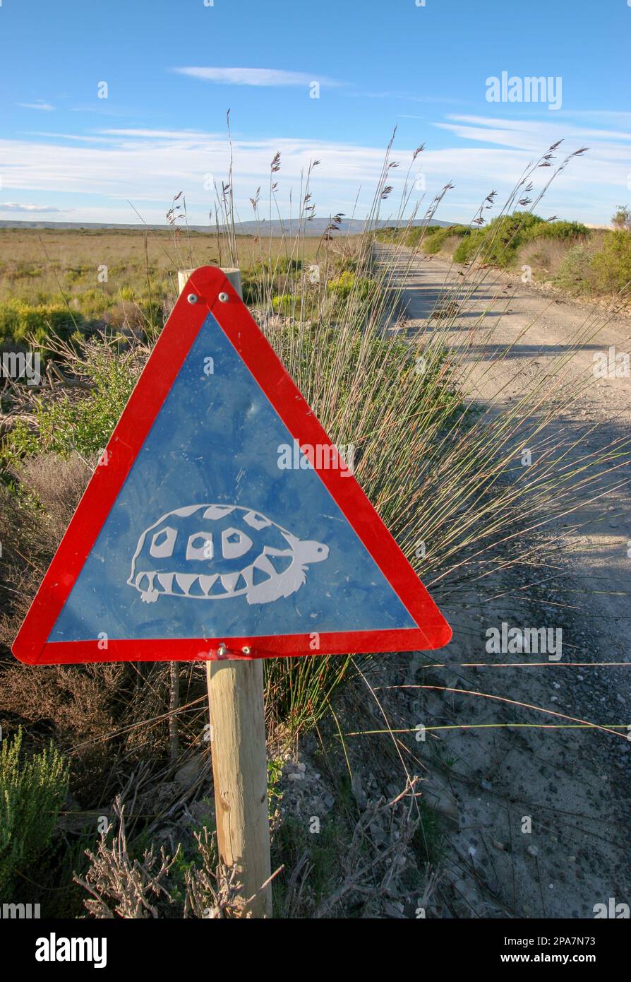 Tortoise crossing warning sign on a road through De Hoop Nature Reserve ...