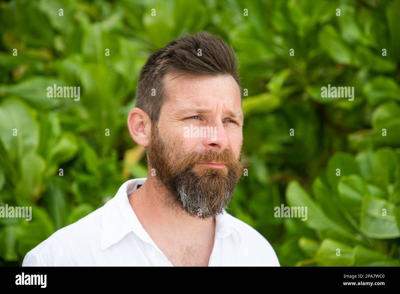 handsome man portrait and lush tropical greenery Stock Photo - Alamy