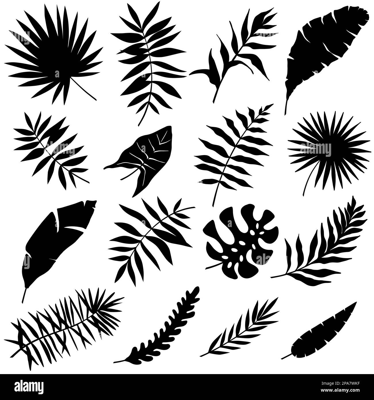 Tropical leaves vector. Set of palm leaves silhouettes isolated on ... Tropical leaves vector. Set of palm leaves silhouettes isolated on ...