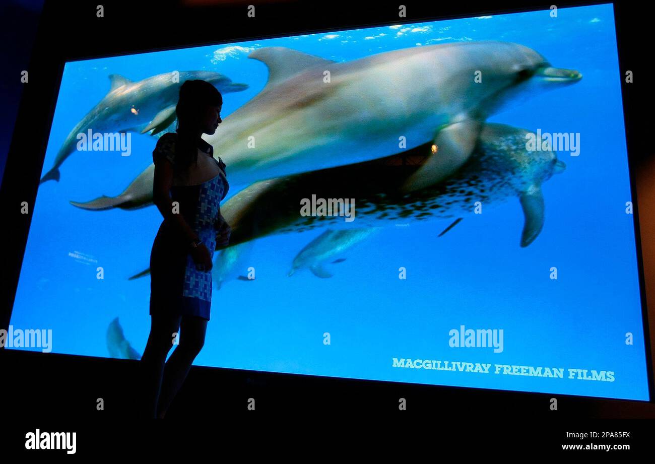 A model stands by Panasonic's 150-inch high-definition plasma TV ...