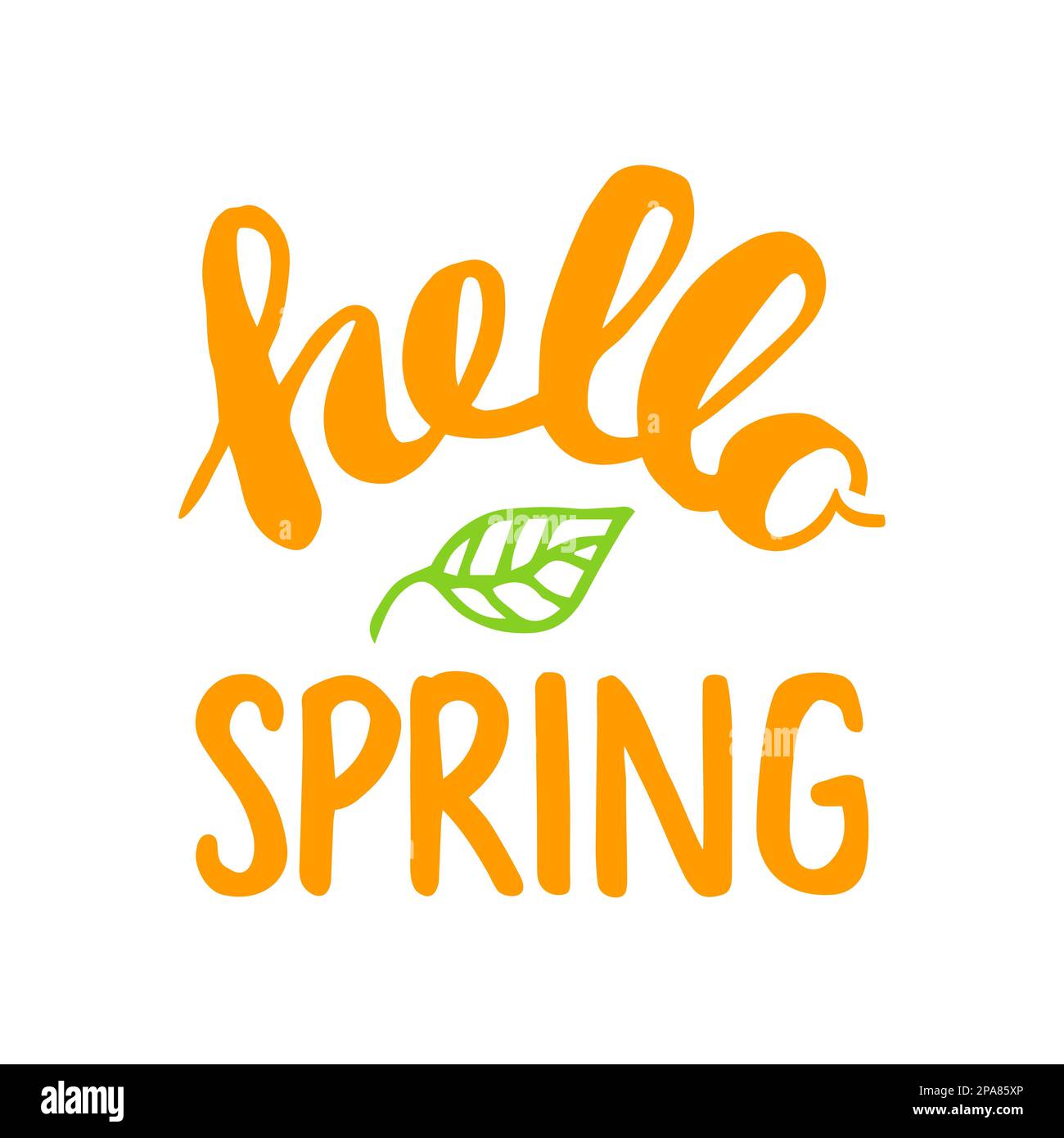 Hello Spring quote hand drawn calligraphy isolated on white background ...