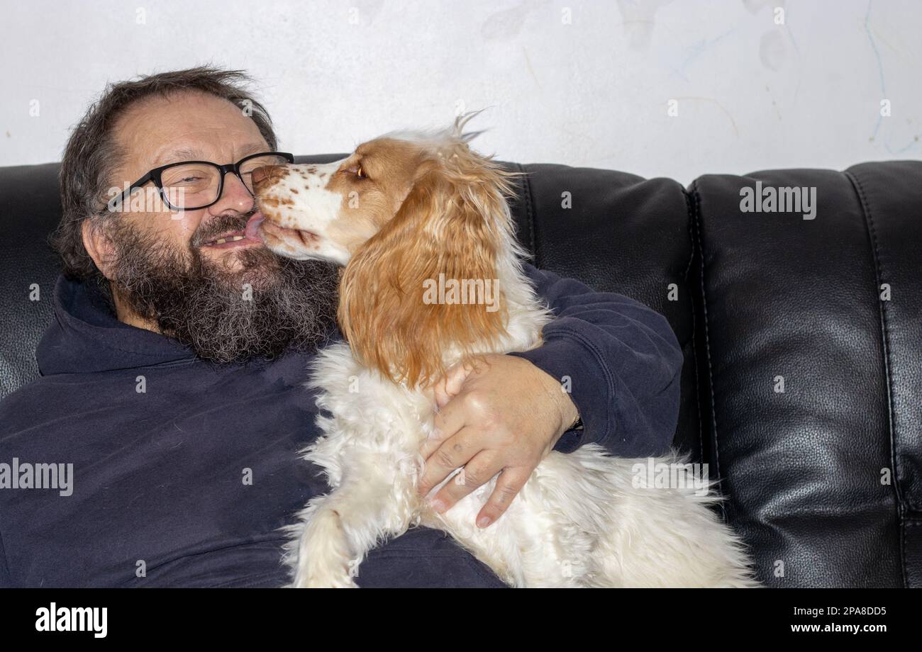 Dog licking face hi-res stock photography and images - Alamy