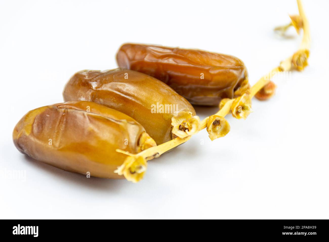 Close-up of Algerian royal dates on a white background. Ramadan concept ...