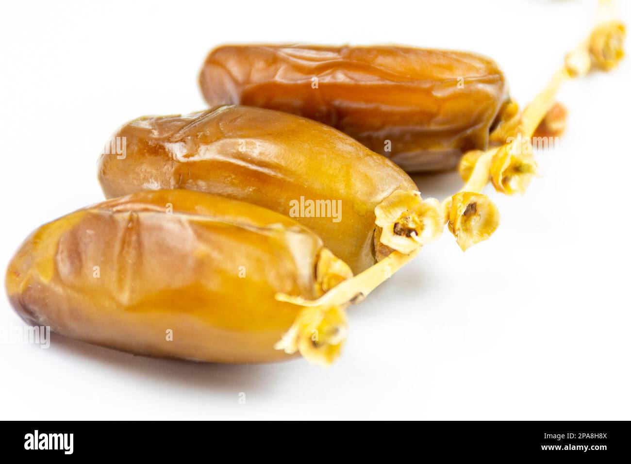 Close-up of Algerian royal dates on a white background. Ramadan concept ...