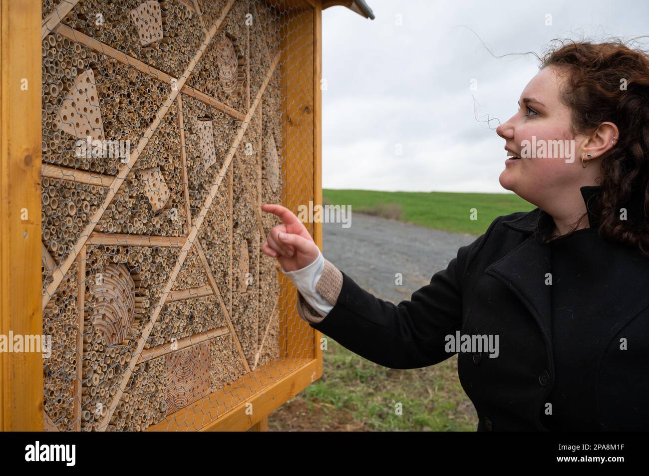 Pointing bee hi-res stock photography and images - Alamy
