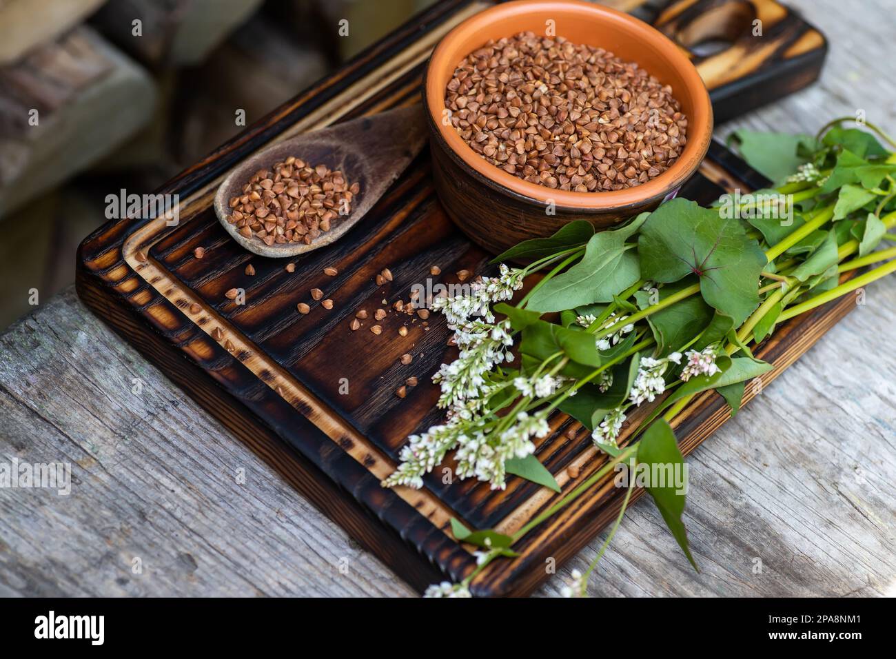 Dry buckwheat for cooking vegetarian porridge. Fresh white buckwheat ...