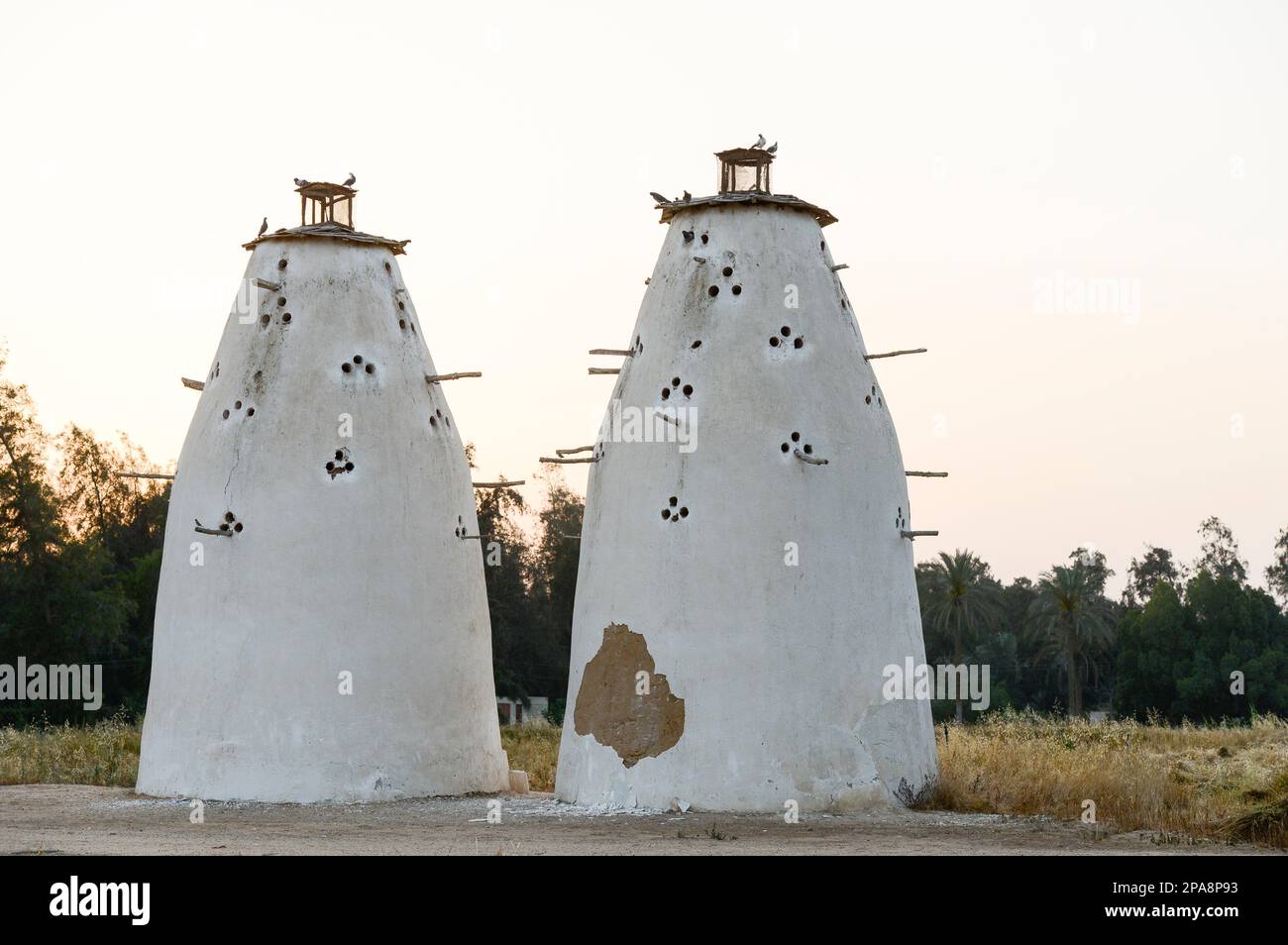 EGYPT, Bilbeis, Sekem organic farm, desert farming, pigeon loft build ...