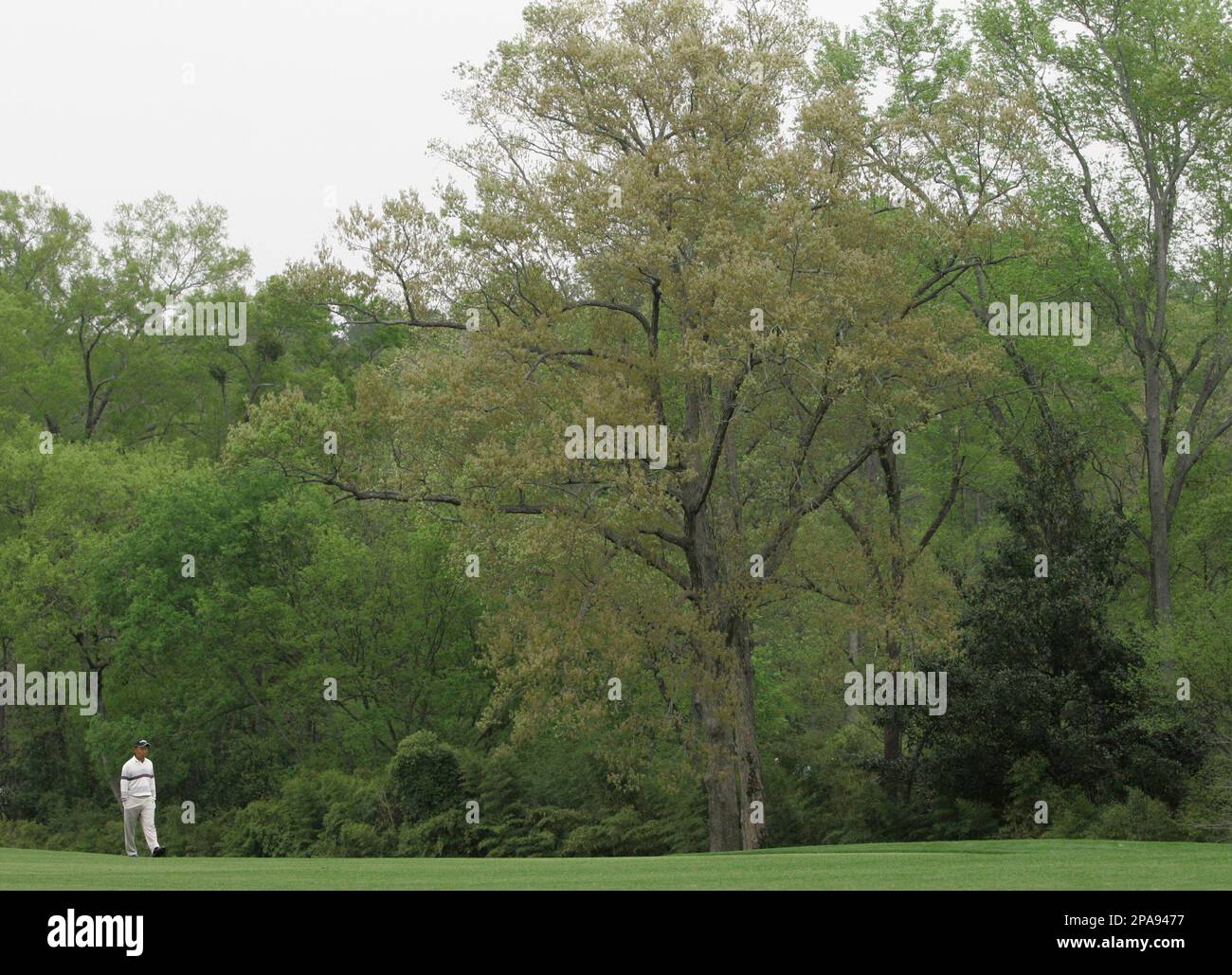 Toru Taniguchi of Japan walks down the fifth fairway during a practice ...