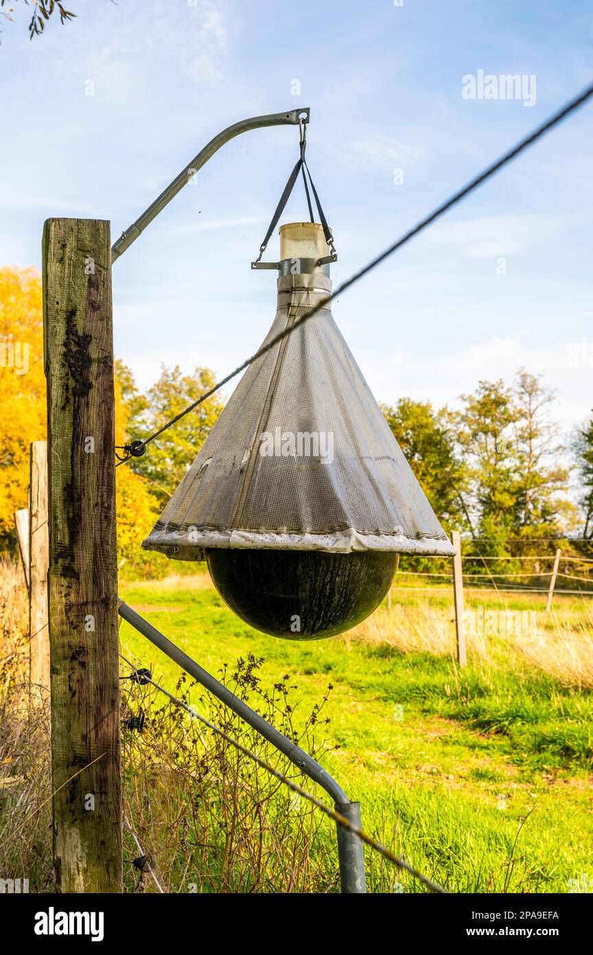 close-up horsefly trap ball hanging at the wooden fence of a paddock ...