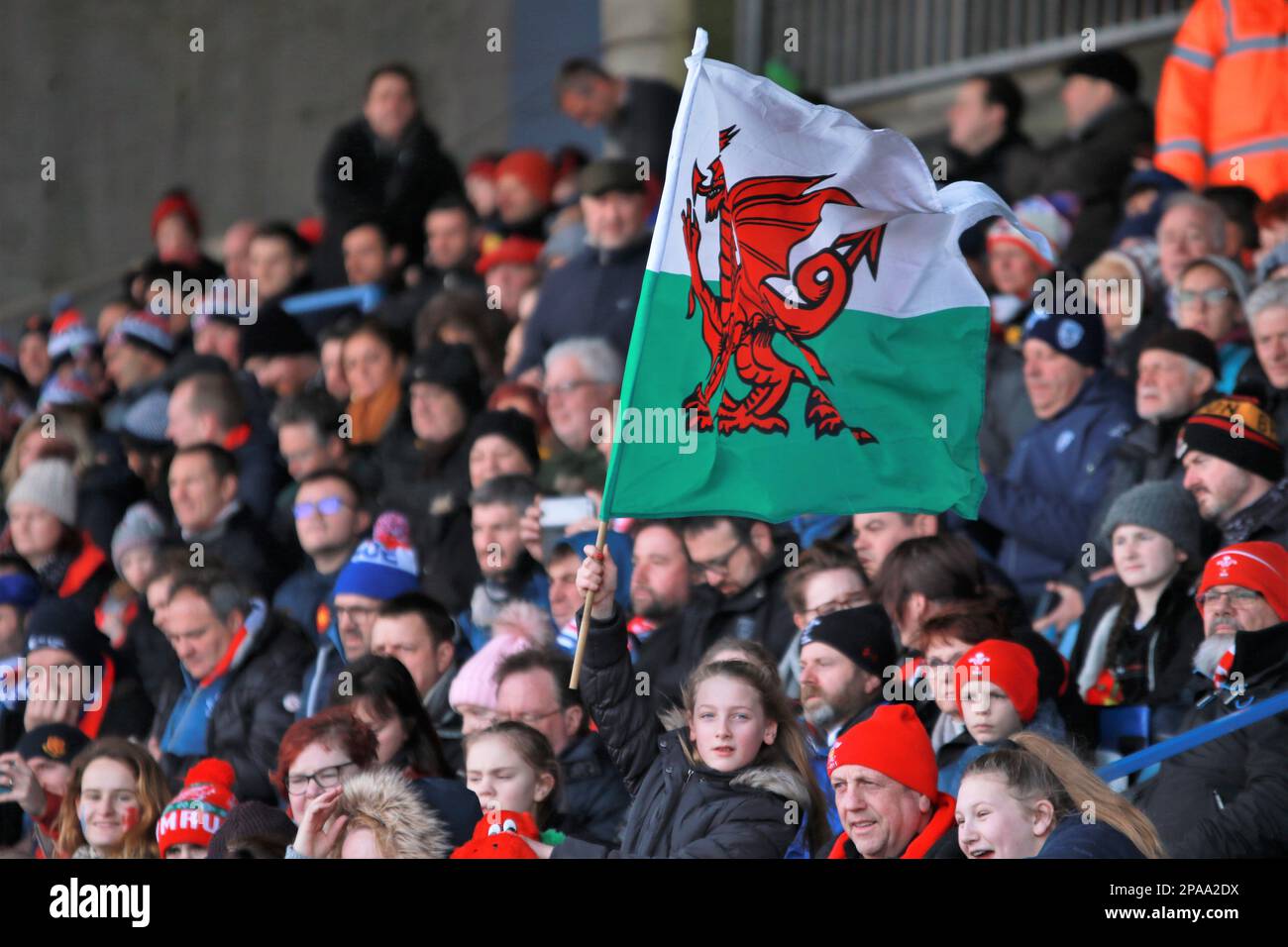 Rugby supporters at Cardiff Arms Park, Wales Stock Photo - Alamy