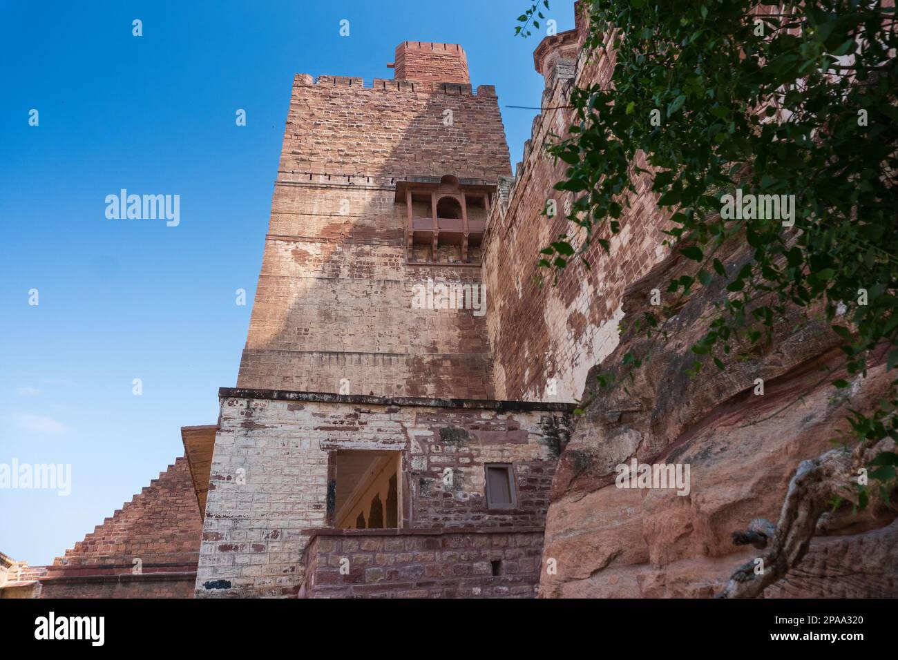 Ancient old tree and Jharokha, stone window projecting from the wall ...