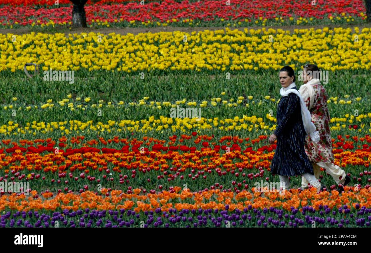 Congress Party President Sonia Gandhi, left, and wife of Jammu and ...