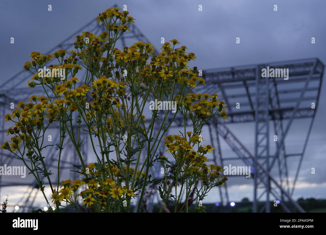 Flowers in front of the empty Pyramid stage, Worthy Farm, Pilton, home ...