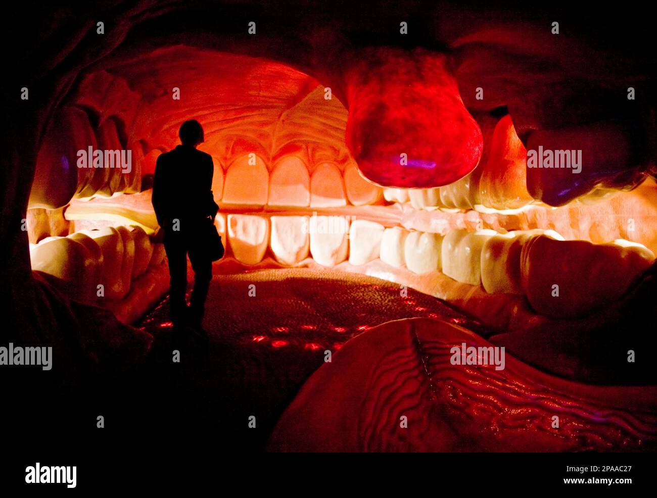 ** FILE ** A visitor observes the teeth in a large scale model of the ...