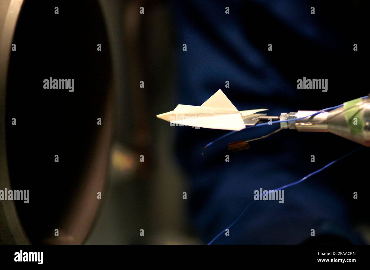 A 7 centimeters (2.8 inches) long and 5 centimeters (2 inches) wide ...