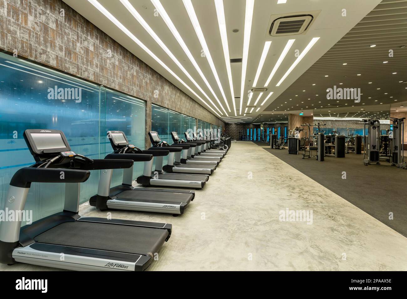Hanoi, Vietnam - January 28, 2018: Fitness center health club gym and ...