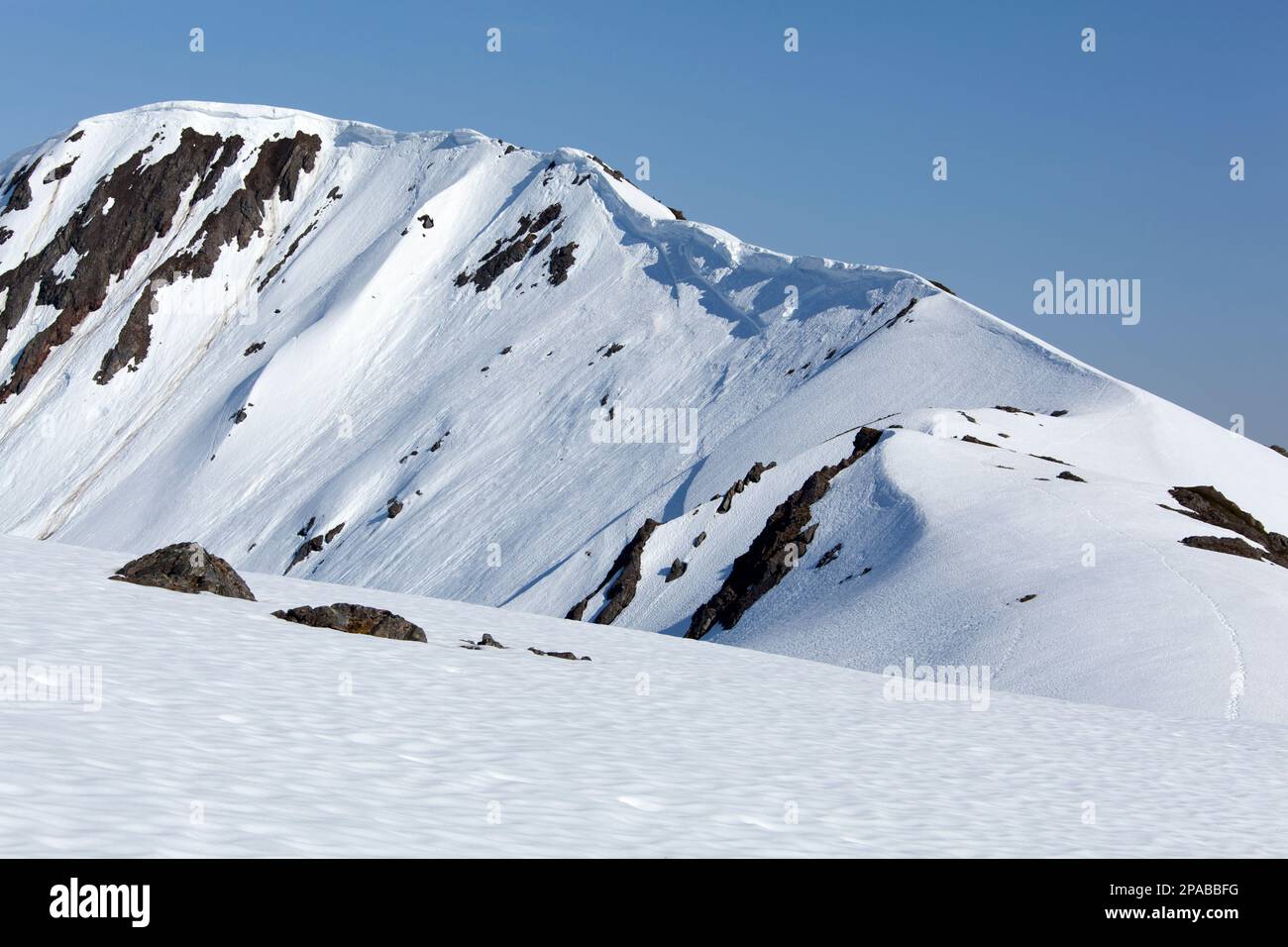 The scenic view of still snowy Mount Roberts landscape on May and a ...