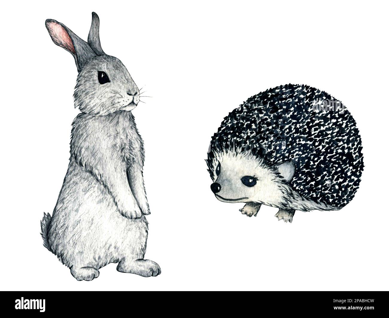 Watercolor illustration with hedgehog and hare, rabbit on white ...