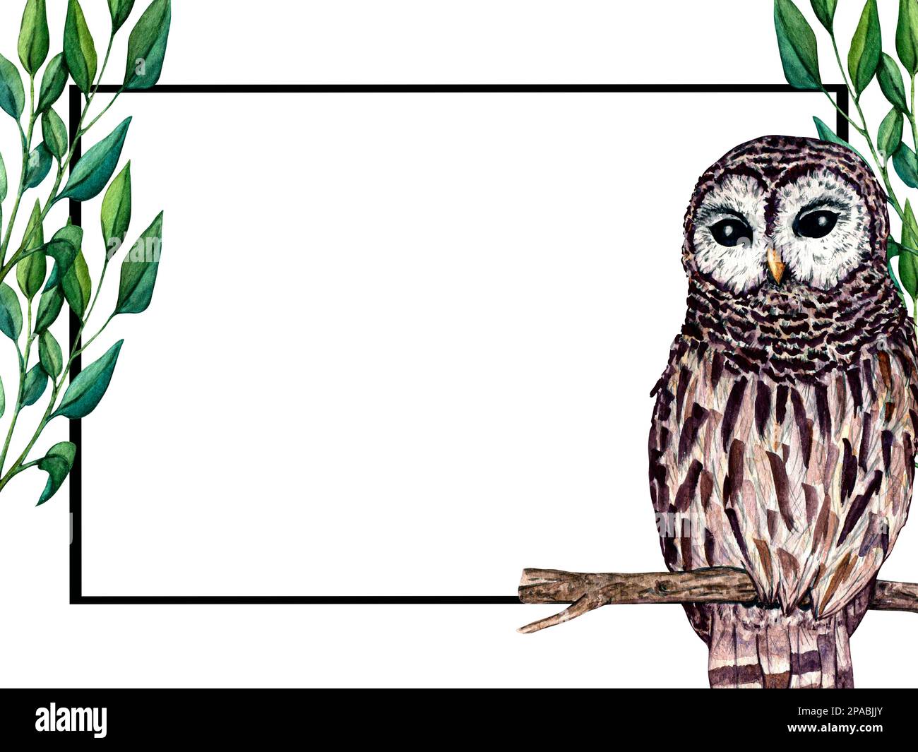 Watercolor frame with owl isolated on white background. Clip art for ...