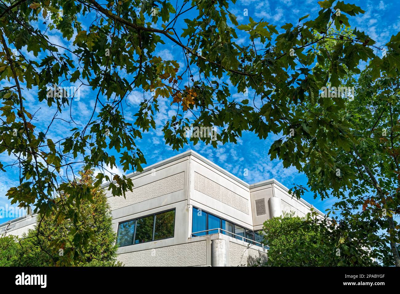 Corner of a modern concrete office building framed by early autumn ...
