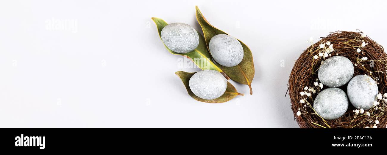 Brown nest of twigs with three gray Easter eggs, feathers, dried ...