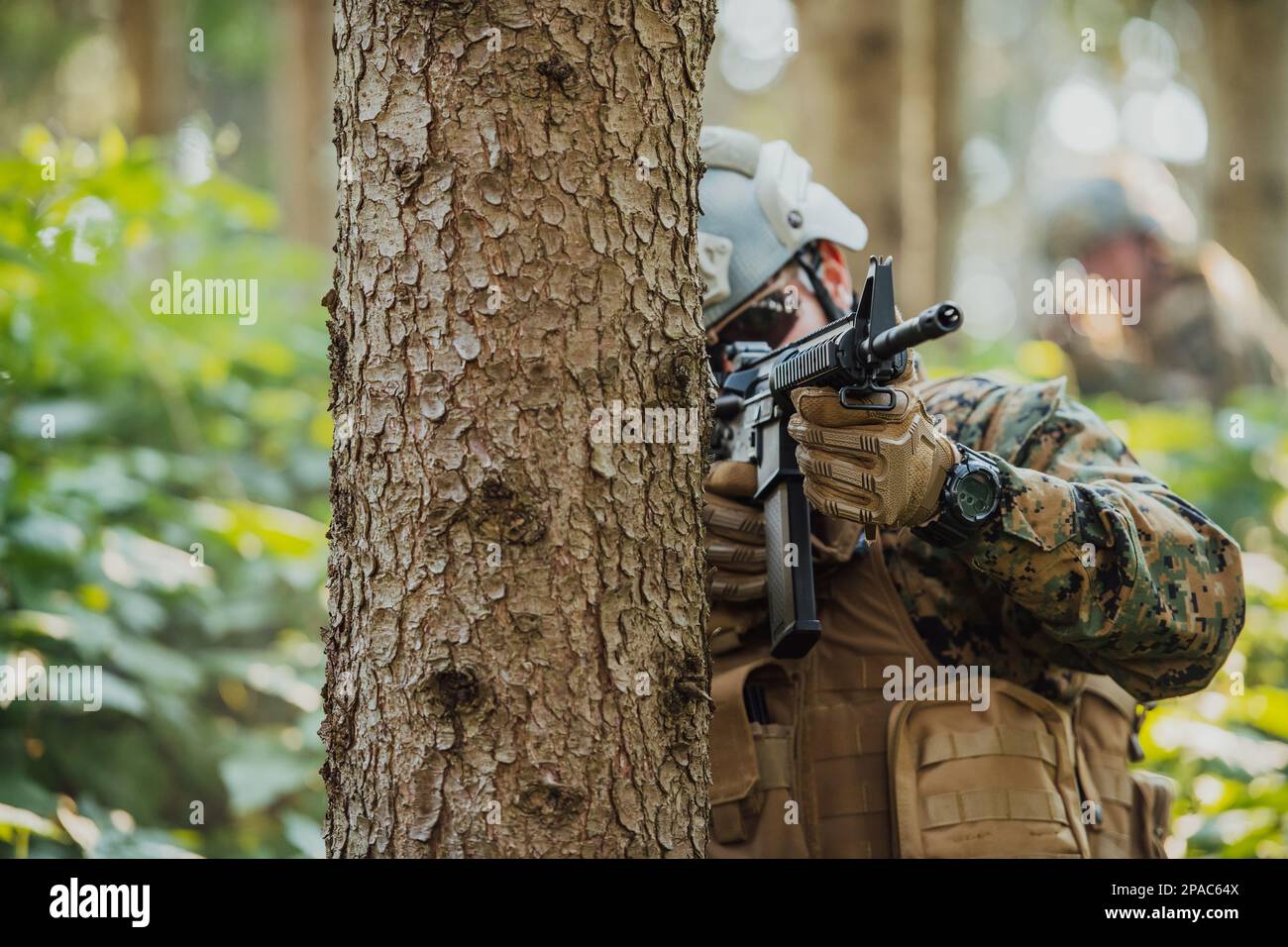 A modern warfare soldier on war duty in dense and dangerous forest ...