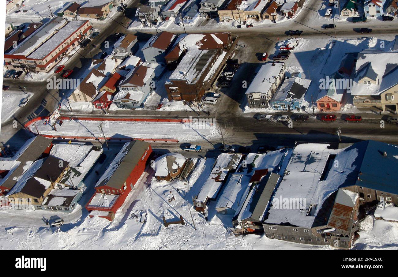 The finish chute for the Iditarod Trail Sled Dog Race with the burled ...