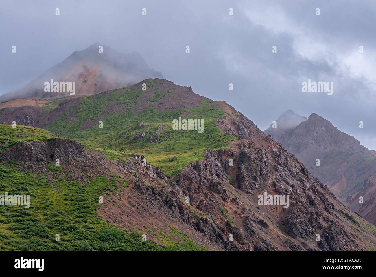 Denali Park, Alaska, USA - July 25, 2011: Black rock cliffs as mountain ...