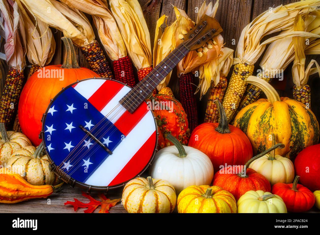 American Folk Banjo In Autumn Still Life Stock Photo - Alamy