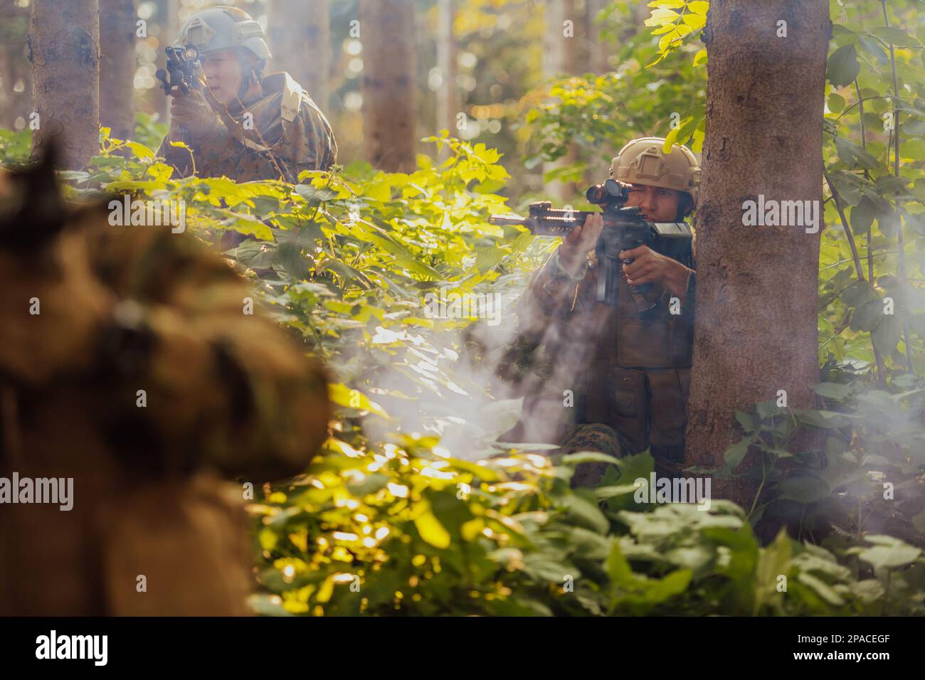 A modern warfare soldier on war duty in dense and dangerous forest ...