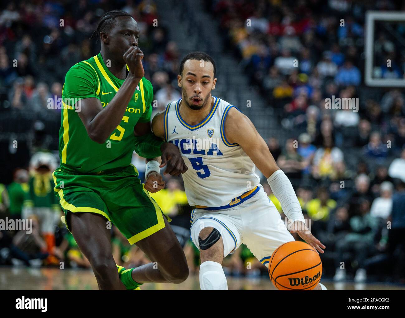 Amari bailey ucla hi-res stock photography and images - Alamy