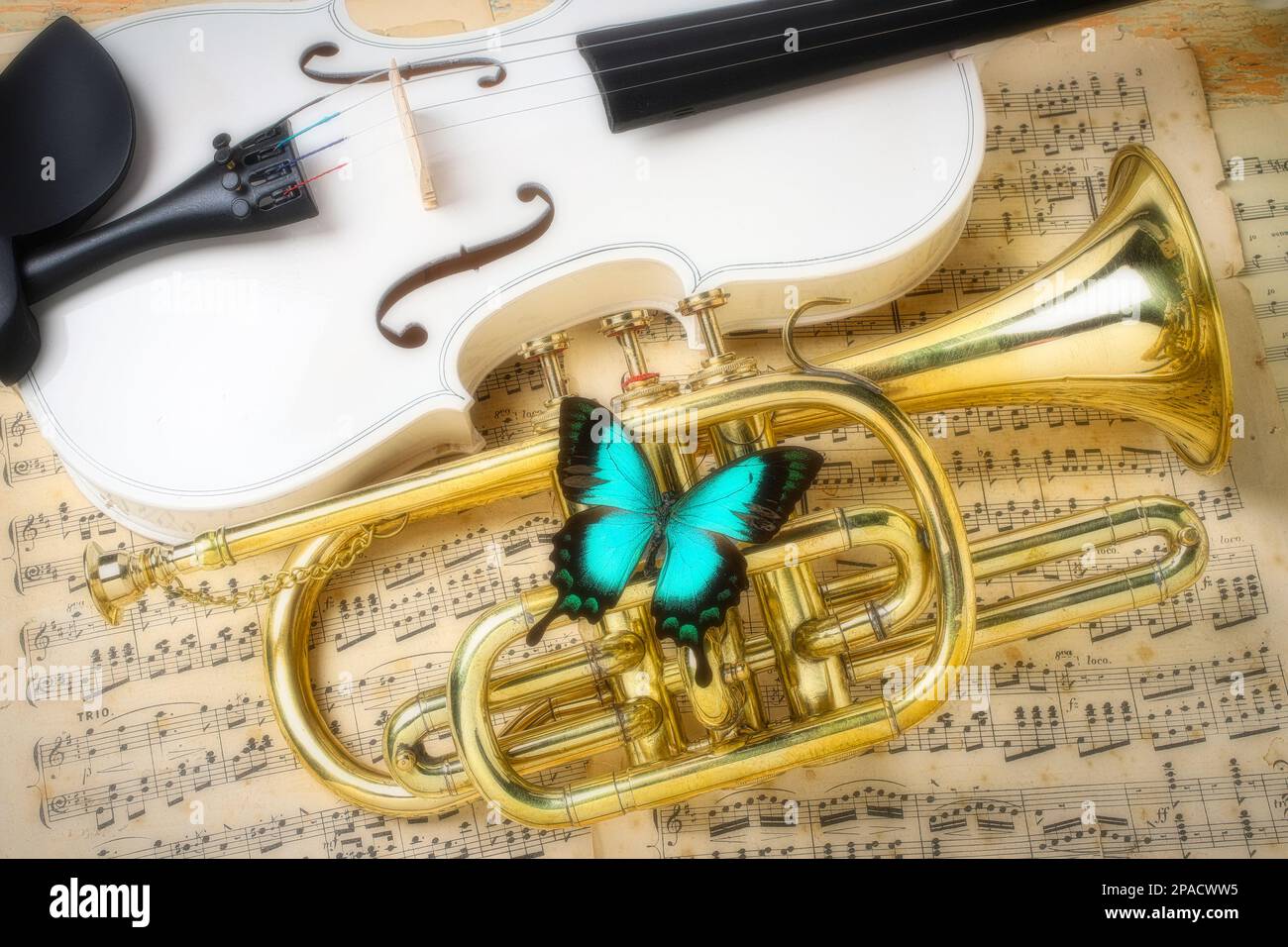 Butterfly On Trumpet With Violin Stock Photo - Alamy