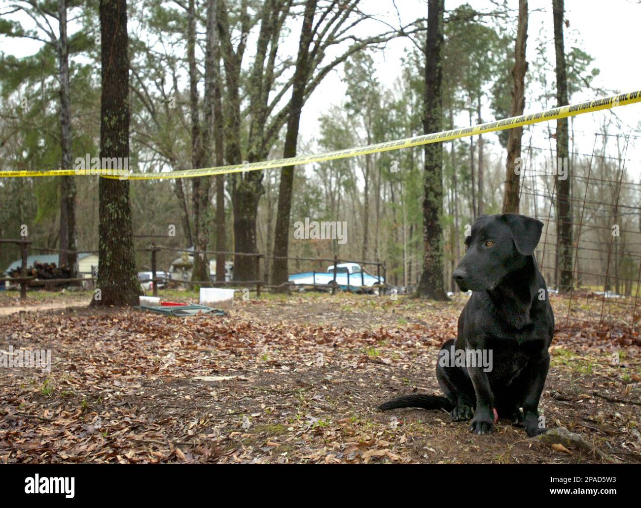 The Caffey family dog waits at the driveway entrance Monday March 3 ...