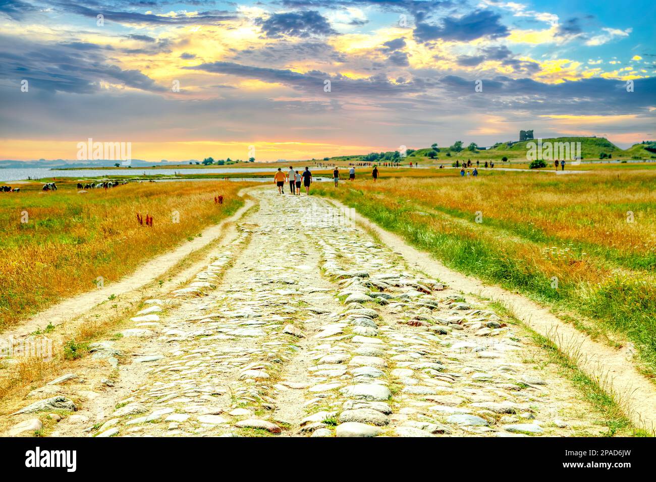 Mols bjerge denmark hi-res stock photography and images - Alamy