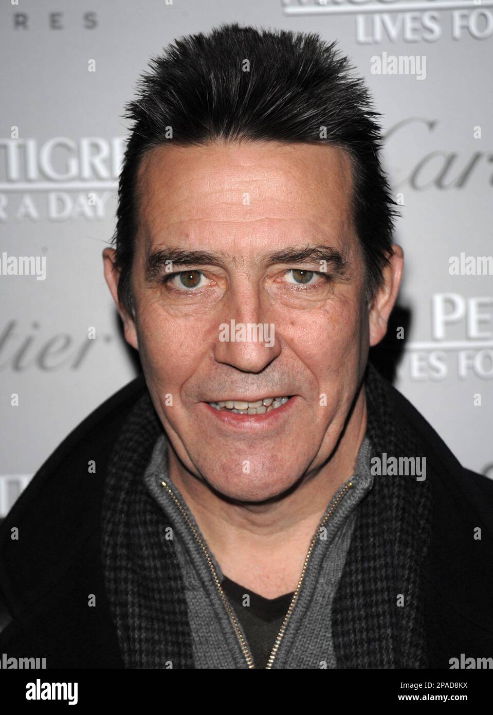 Actor Ciaran Hinds arrives at the premiere of "Miss Pettigrew Lives for ...