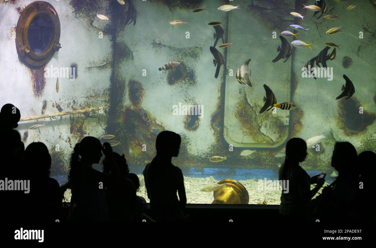 Local tourists admire a variety of fish during the public opening of ...