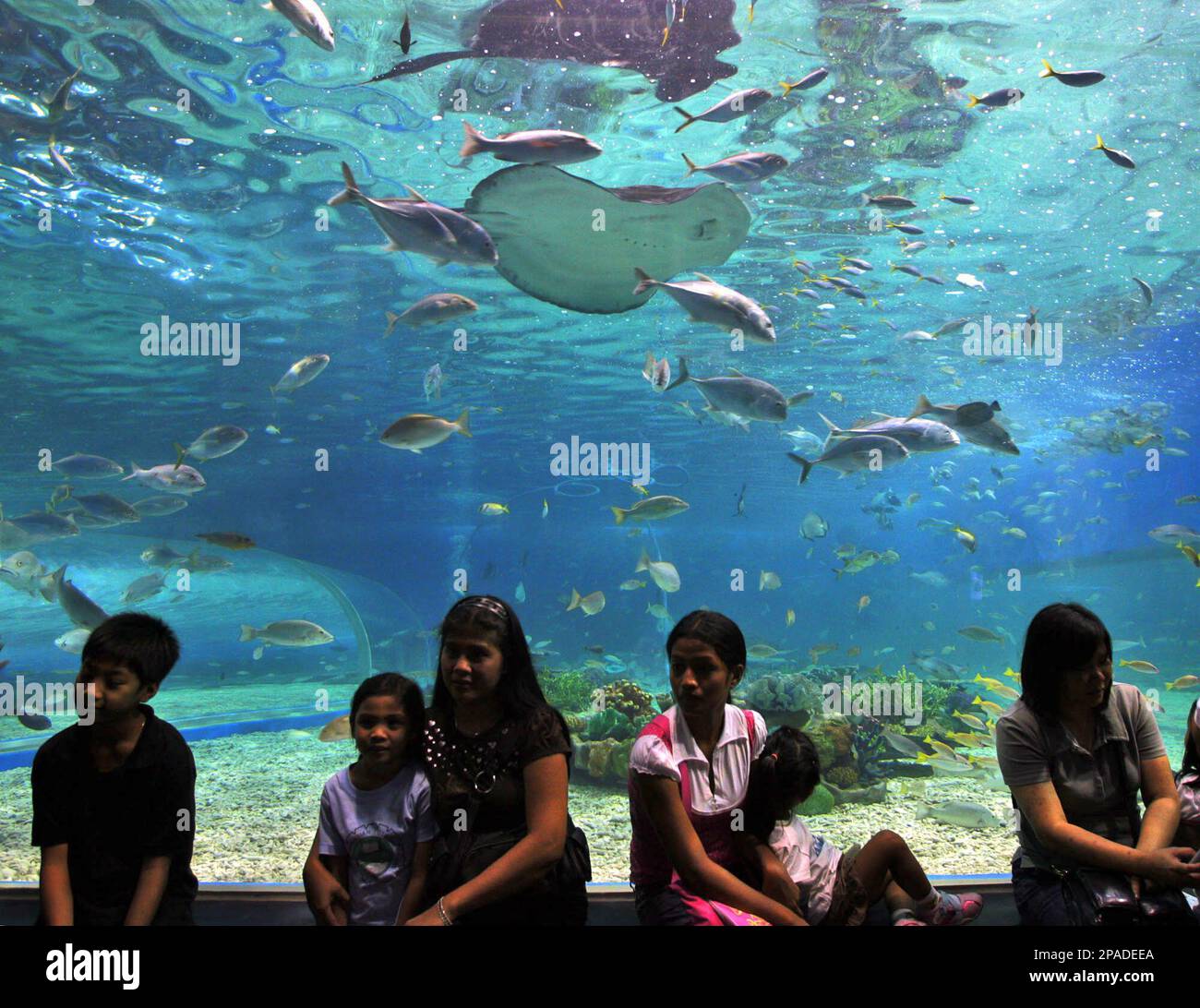 Visitors rest beside an aquarium during the public opening of The ...