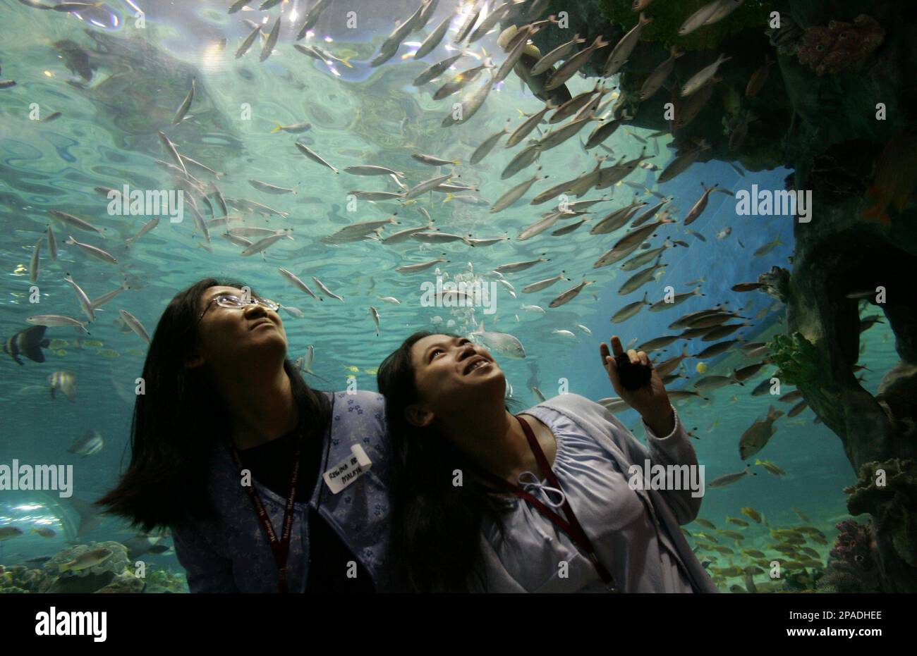 Media and other guests admire the fishes at the soft opening of the ...