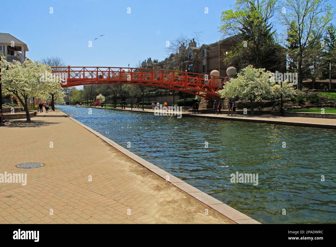 Canal Walk in the spring along the Central Canal in White River State ...