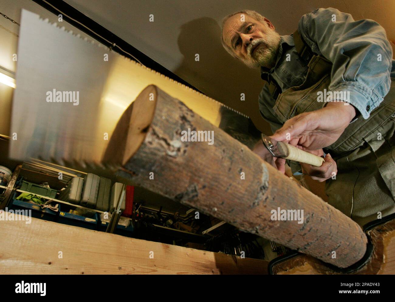 Knut Luetjohann halbiert am Dienstag, 26.Februar 2008, in seiner Werkstatt in Wanderup mit einer ...